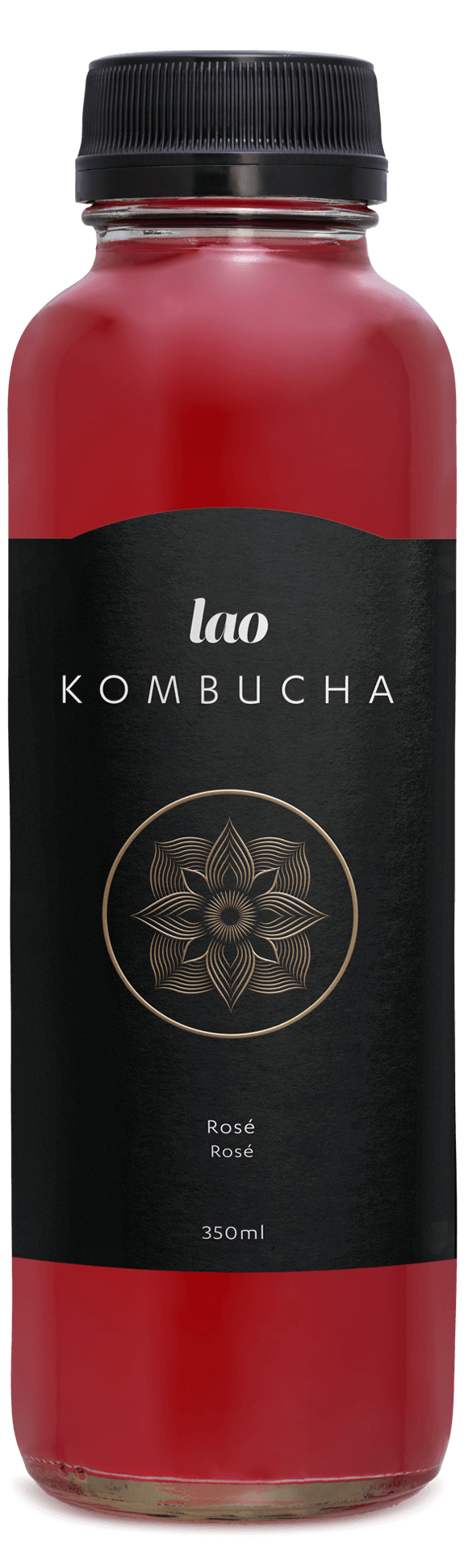 Q&A Kombucha MTL COOL